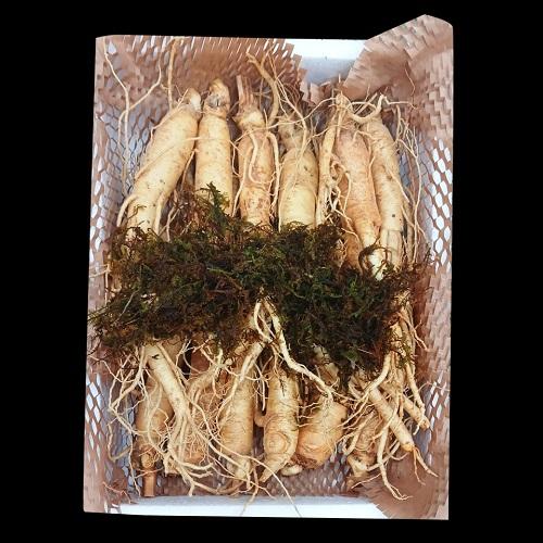 100% 국내산 놀뫼인삼세트(750g*10~13뿌리) 답례품 | 위기브 wegive